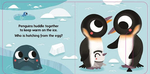 Push and Pull Baby Animals Board – Blue Duck Books