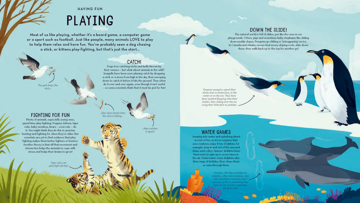 The Surprising Lives of Animals – Blue Duck Books