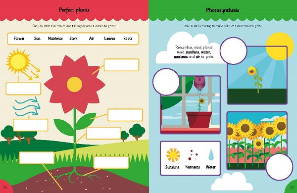 Ready Steady Science – Blue Duck Books