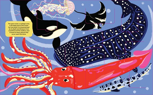 Lift the Fact Ocean LIfe – Blue Duck Books