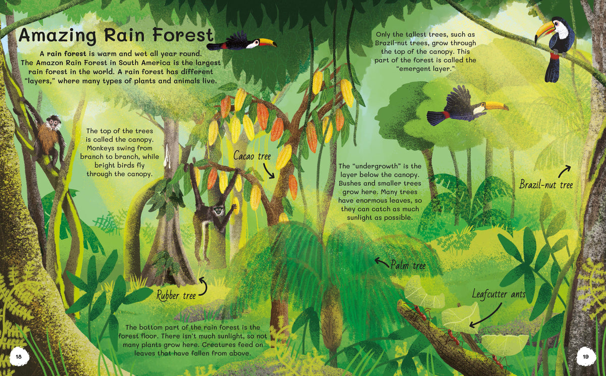 All About Trees – Blue Duck Books